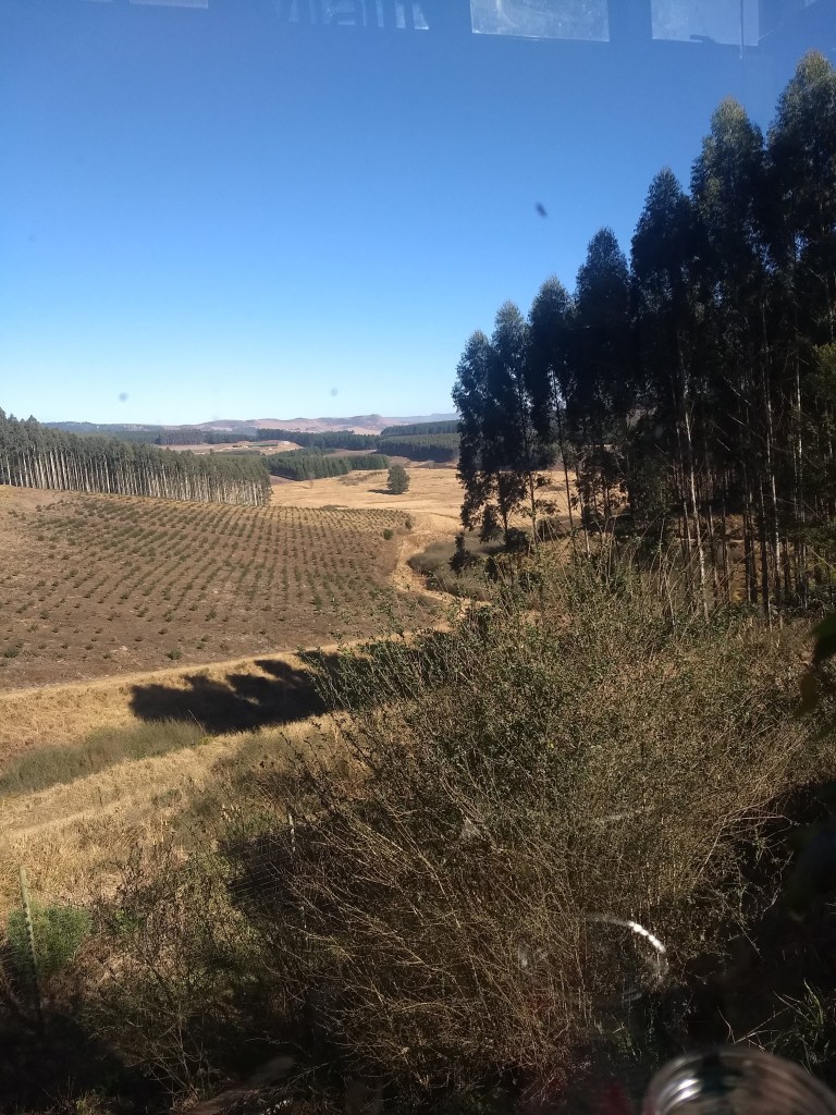 Two tinies in a tiny house – Stephanie Ebert