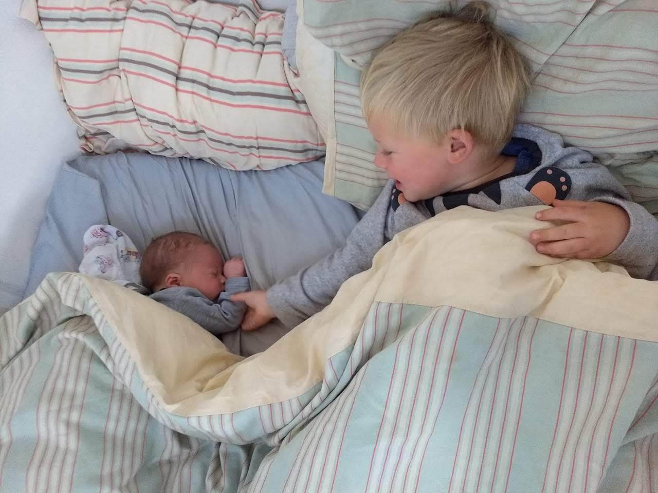 Two tinies in a tiny house – Stephanie Ebert